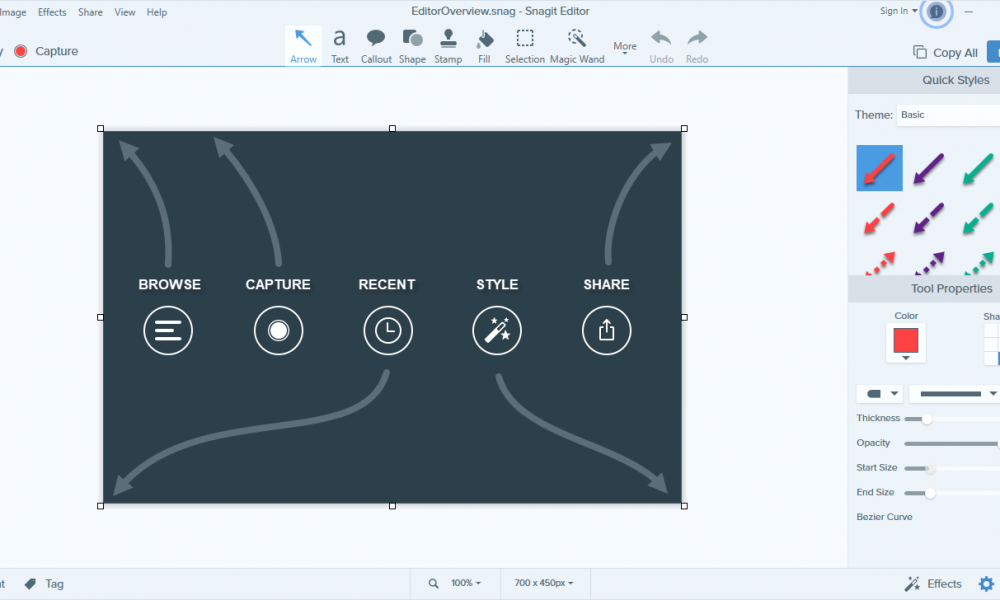Review - Snagit screen capture software – Learn About The Web